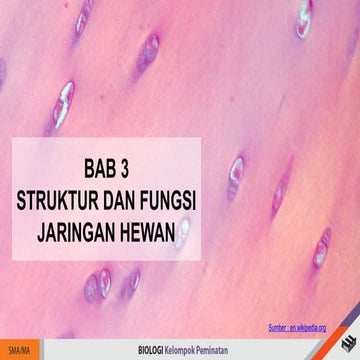 BAB 3 - STRUKTUR DAN FUNGSI JARINGAN HEWAN - NEW-std.pptx