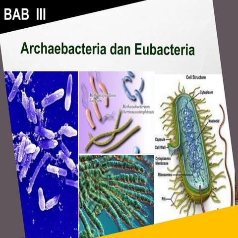 Bab 3 Archaebacteria dan Eubacteria.pptx