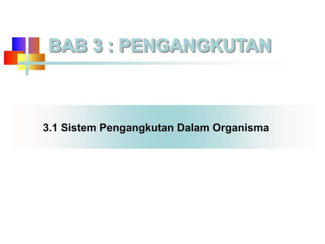 6.7 sistem respiratori | PPTX