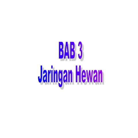 BAB3 Jaringan Hewan jaringan epite; jaringan ikat jaringan saraf | PPT