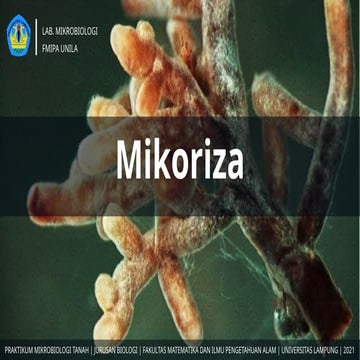 BAB 3_Mikoriza_Mikobiologi Tanah_2021.pptx