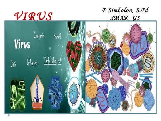 Ppt Virus | PPT