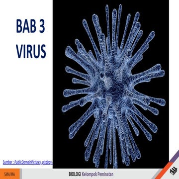 Power Point Virus Biology education class X.pdf