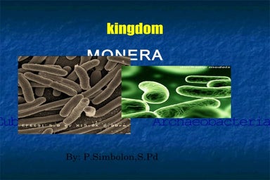 Kingdom Monera Bakteri