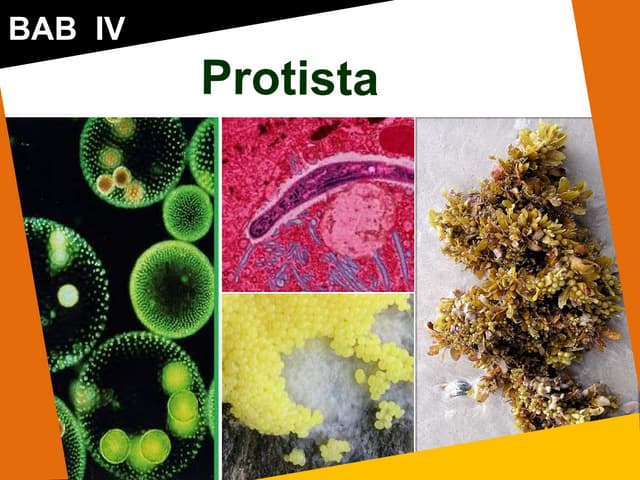 PPT-Sistem-Reproduksi-Manusia-Kelas-9-Kurikulum-2013.pptx