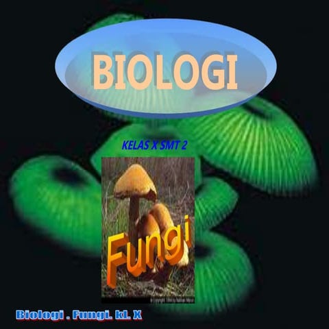 BAB 5 FUNGI.ppt