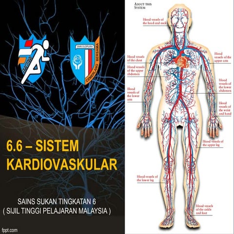 Bab6 Anatomifisiologi2 140717003356 Phpapp01 Pdf