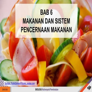 BAB 6 - SISTEM PENCERNAAN - NEW-std.ppt