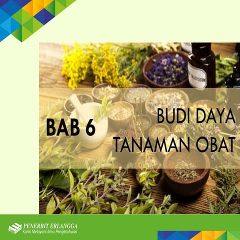 BAB 6 BUDIDAYA TANAMAN OBAT PRAKARYA KELAS 8 | PPTX