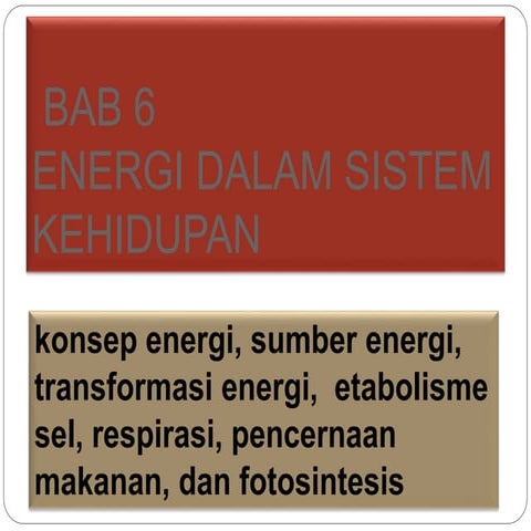 BAB 6 Energi Dalam Sistem Kehidupan - websiteedukasi.com.pptx