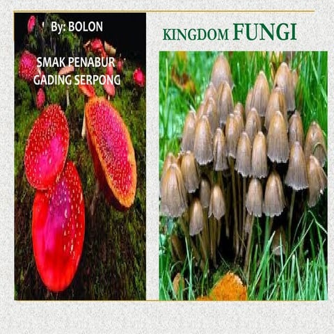 PPT FUNGI | PPT
