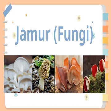 Materi Kingdom Jamur Kelas 10 Semester 1 | PPTX