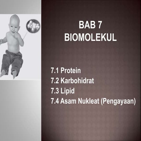 biomolekul | PPTX