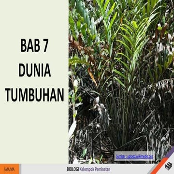 BAB 7 Dunia Tumbuhan (Plantae).pptx
