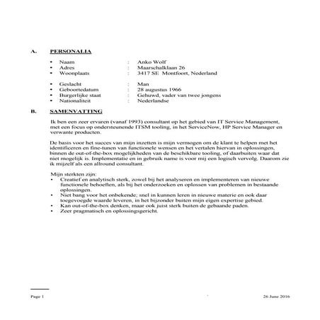 CV Anko Wolf Dutch 2016-06 | PDF | Computing | Technology & Computing