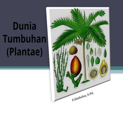 bab7plantaeasli-140131093500-phpapp01 (1).ppt