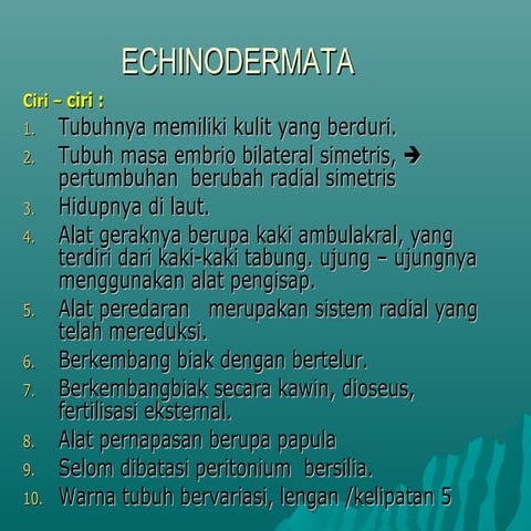 Bab 8 echinodermata | PPT