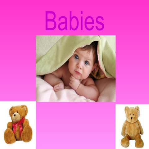 Babbies | PPT