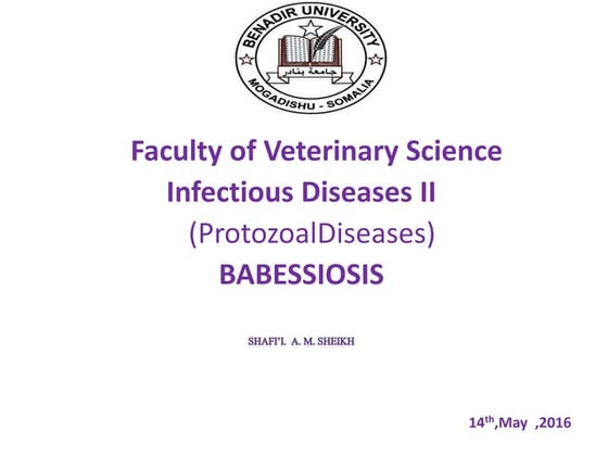 Common blood parasites in dogs | PPSX | Blood Disorders | Diseases and ...