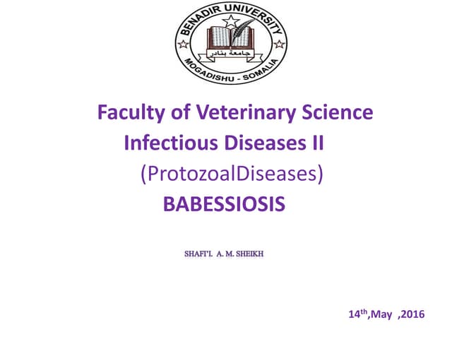 Common blood parasites in dogs | PPSX