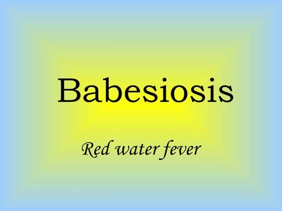 Omphalophlebitis | PPS