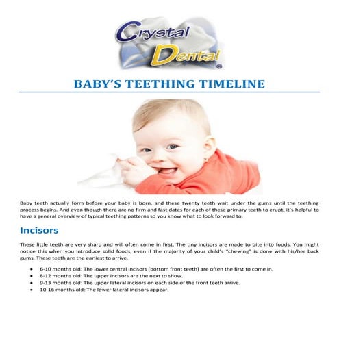 BABY’S TEETHING TIMELINE | PDF