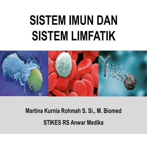 BAB III - Sistem Imun dan Sistem Limfatik.pdf