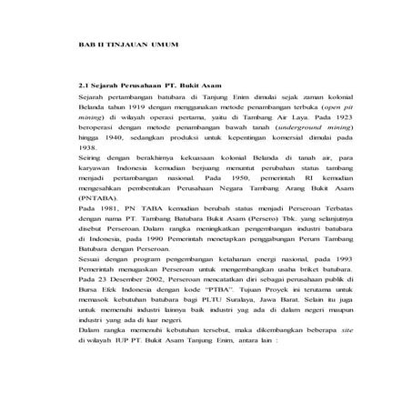 Bab Ii Tinjauan Umum Ptba Docx