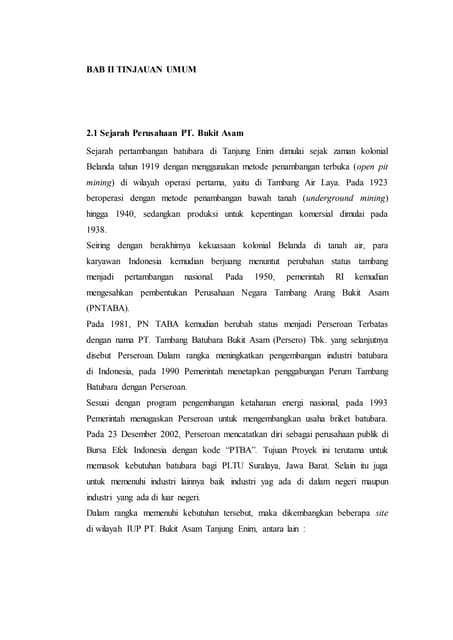 Bab Ii Tinjauan Umum Ptba Docx