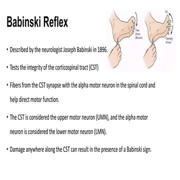 Babinski REFLEX AND PATHOPHYSIOLOGY.pptx