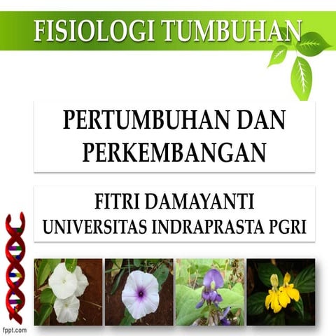 PPT Embriologi Tumbuhan - Perkembangan Embrio dan Biji | PPTX
