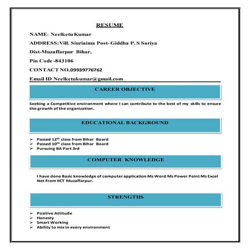 Nilketu Resume | DOCX