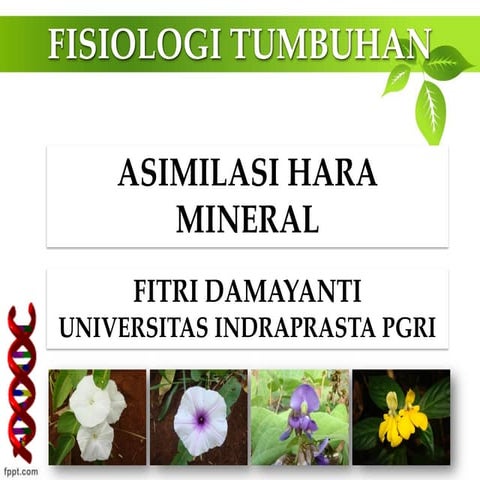 Pertemuan 6 (senesens & absisi) | PDF