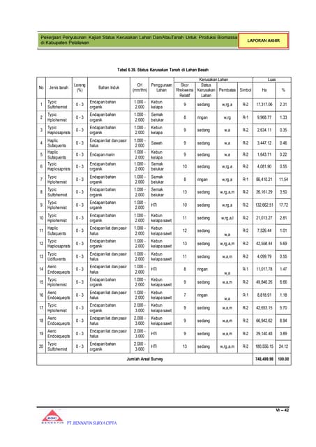 Presentasi tanah salin | PPTX