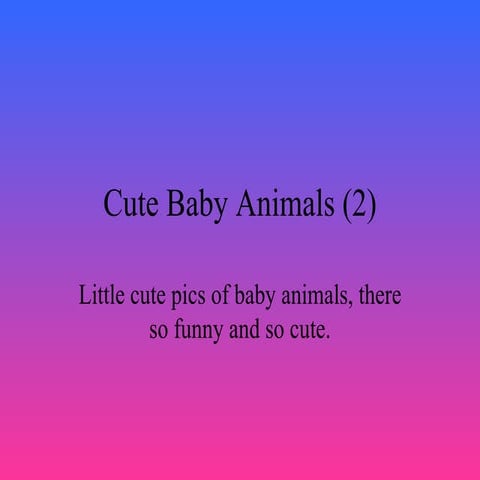 Baby Animals (2) | PPT