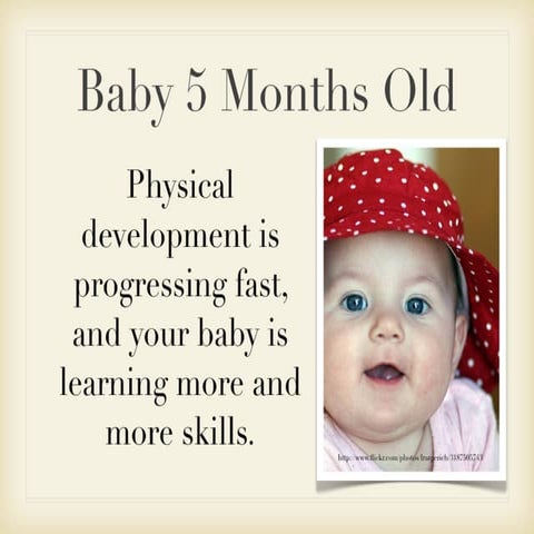 Baby 5 Months Old | PDF