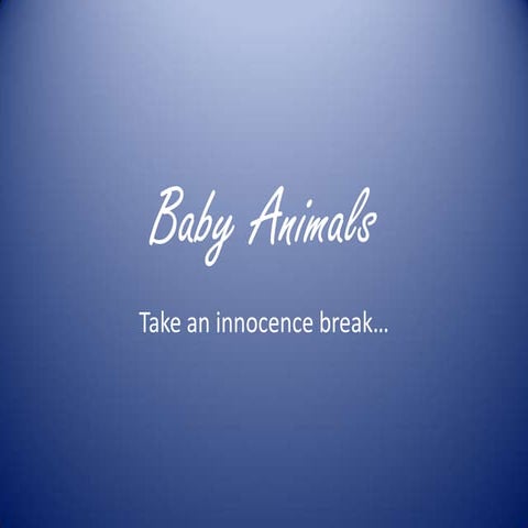 Baby animals | PPTX