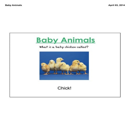 Baby animals | PDF | Birds | Pets