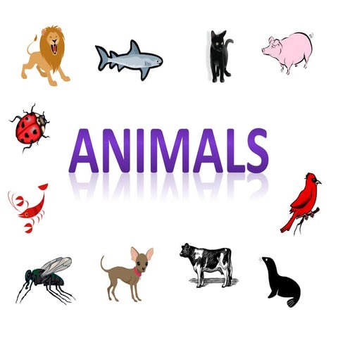 Baby animals | PPT