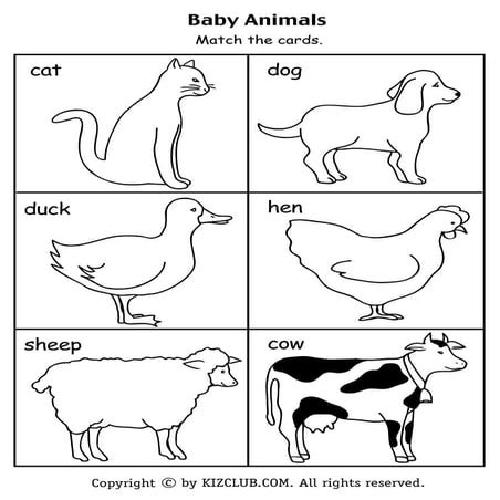 Babyanimals1 | PPT