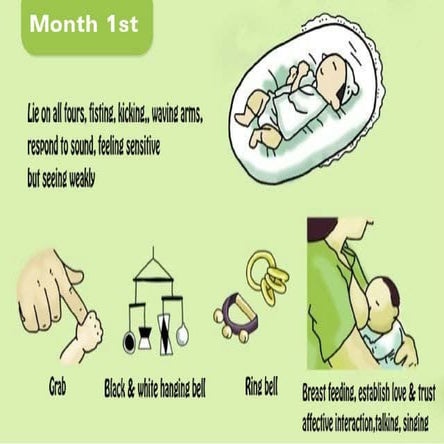 Baby Development Guide 0 36 Months | PDF
