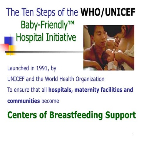 Baby Friendly Hospital Initiative (BFHI Ten Successful Steps) | PDF