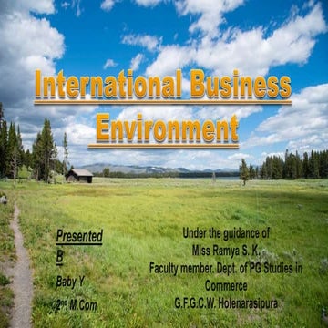 International Business Environment - Internal and External | PPTX