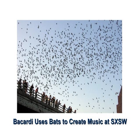 Bacardi Uses Bats to Create Music at SXSW | PPT