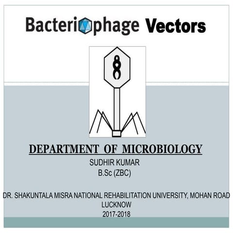 Bacteriophage vector in Recombinant DNA Technology | PPTX