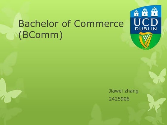 Curriculum IBA | PDF