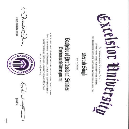 Bachelor of Professional Studies in Business and Management Excelsior ...