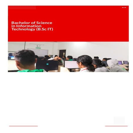 Bachelor of Science in Information Technology (B.Sc IT) | PDF