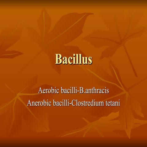 Bacillus | PPT