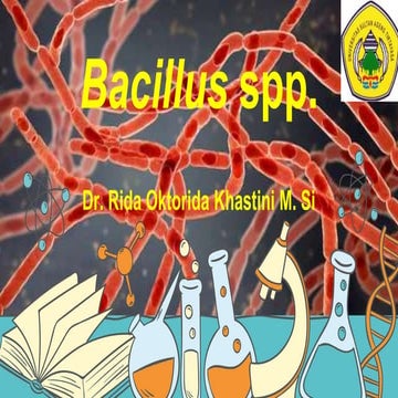 bacillus.pptx